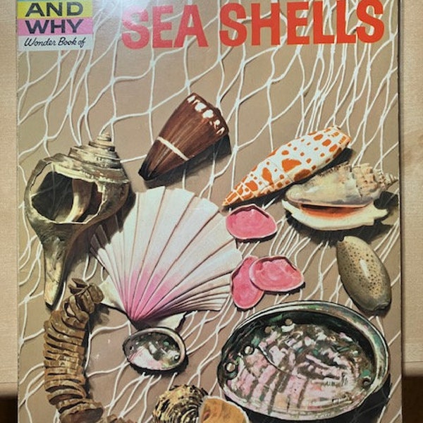 Sea Shells Books - Etsy