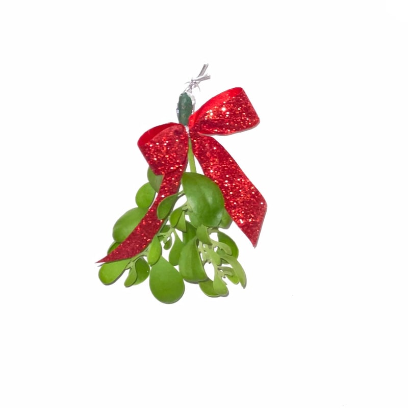 Fresh Mistletoe - Etsy