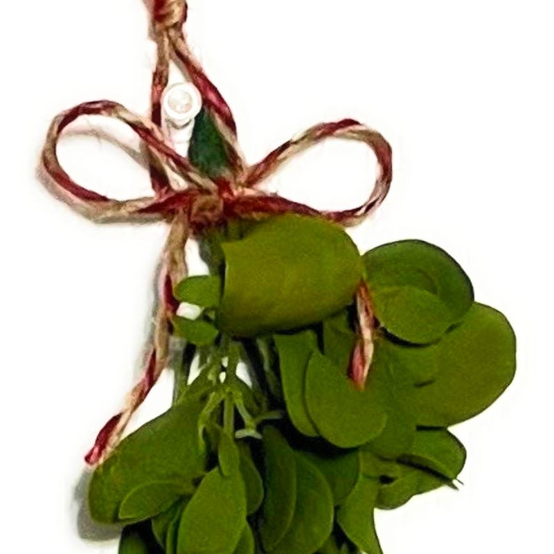 Mistletoes - Etsy