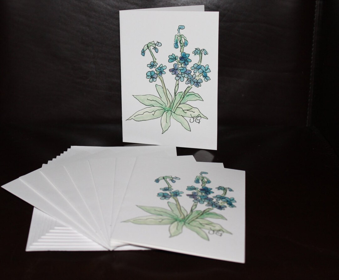 Cards - Forget-me-not Flowering Plant - Pack of 8 With Envelopes, Story ...