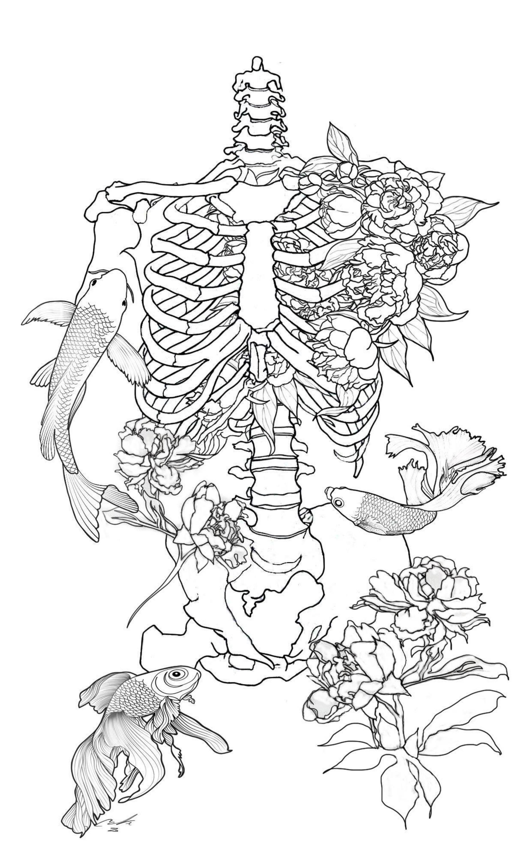 Human Skeleton Coloring Page