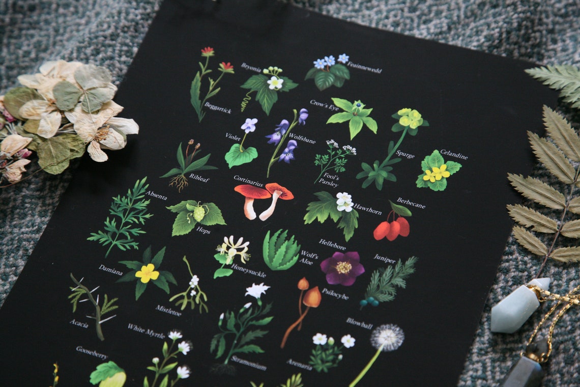 A Witcher Herbal - Art Print - Selected Plants Inspired by the Witcher ...