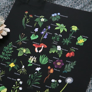 A Witcher Herbal - Art Print - Selected Plants Inspired by the Witcher ...