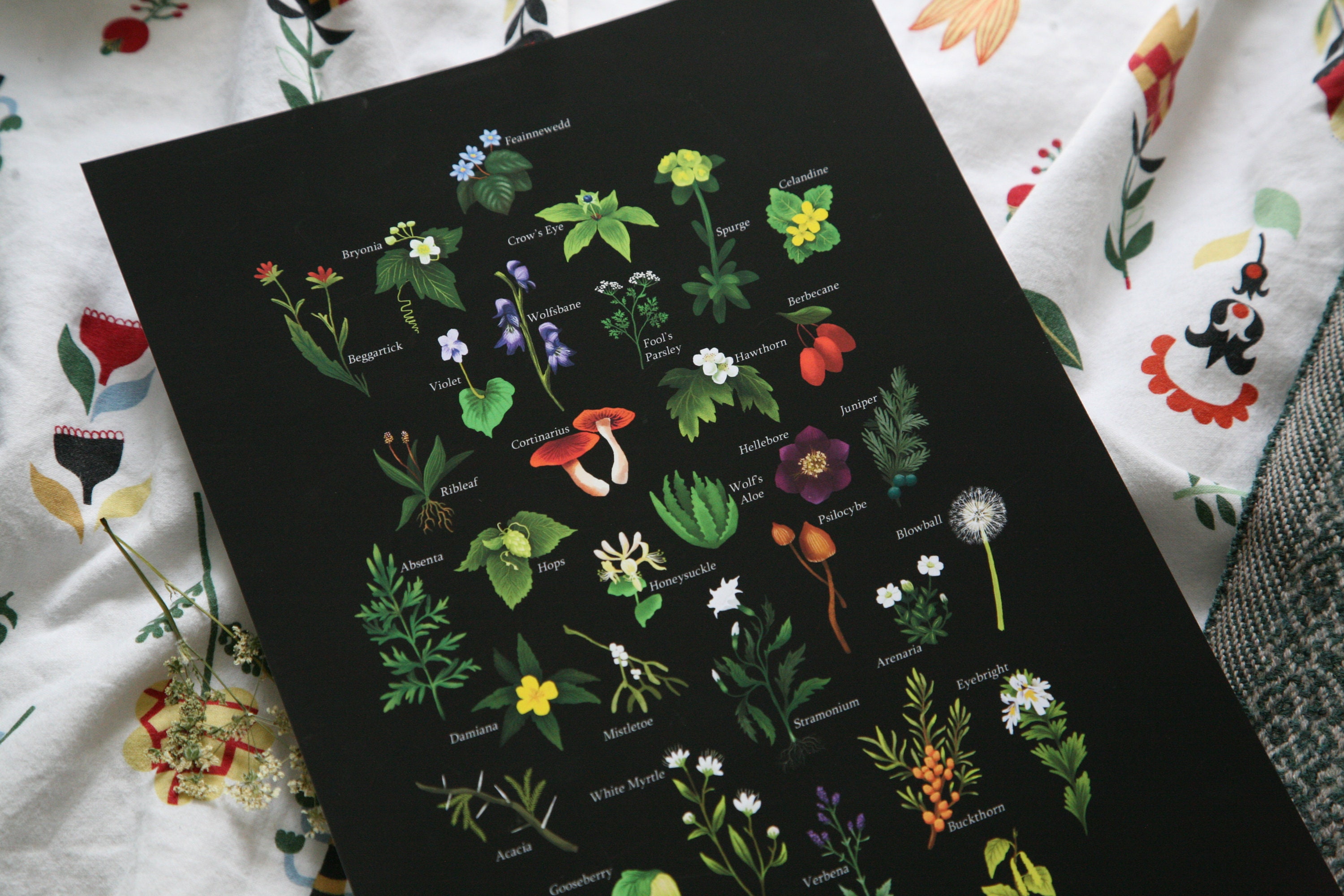 A Witcher Herbal - Art Print - Selected Plants Inspired by the Witcher ...