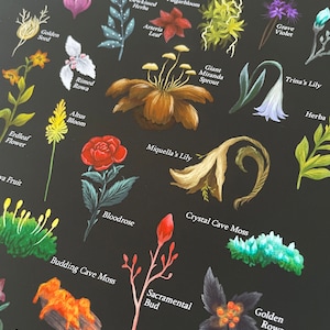 An Elden Ring Herbal - Art Print - Selected Plants Inspired by the ...