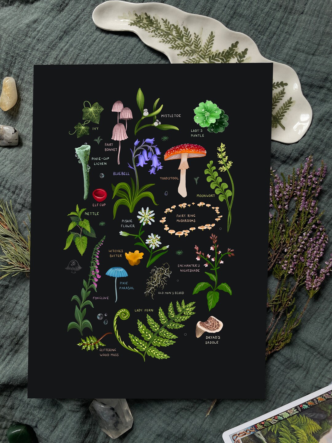 Plants for a Fantasy Forest - Art Print - Fairy - Fae - Magical Plants ...
