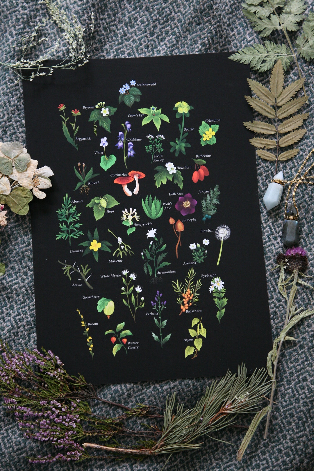 A Witcher Herbal - Art Print - Selected Plants Inspired by the Witcher ...