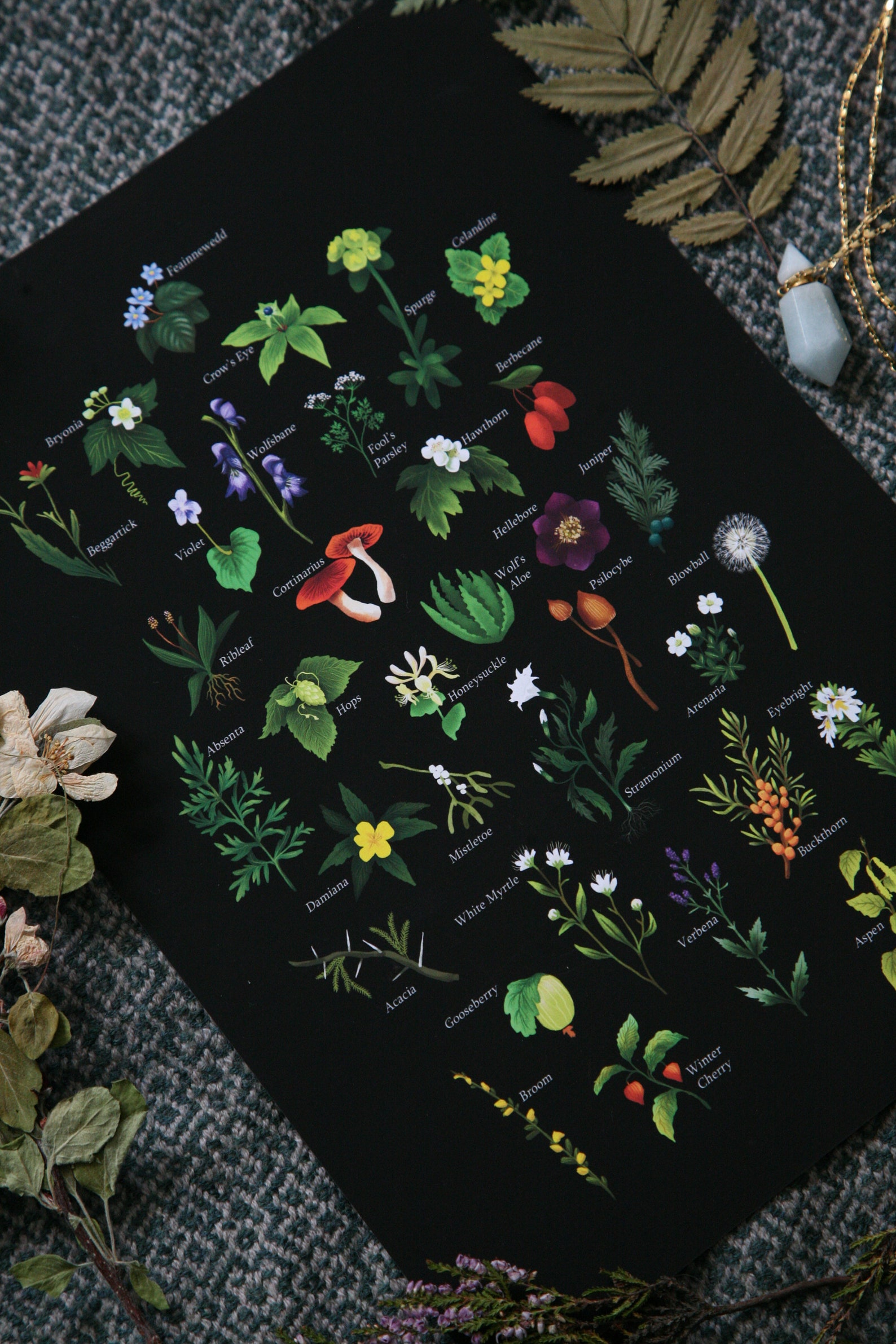 A Witcher Herbal - Art Print - Selected Plants Inspired by the Witcher ...