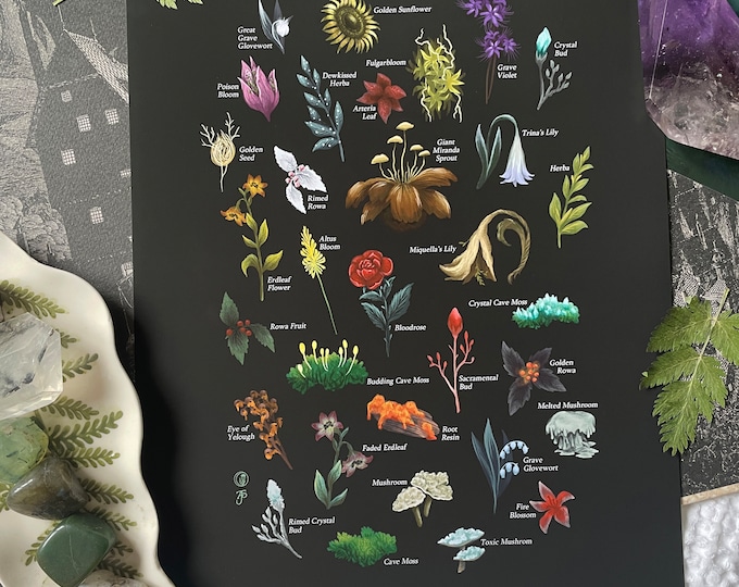 Scottish Highland Flora and Fauna Art Print Nature Botanical Print ...