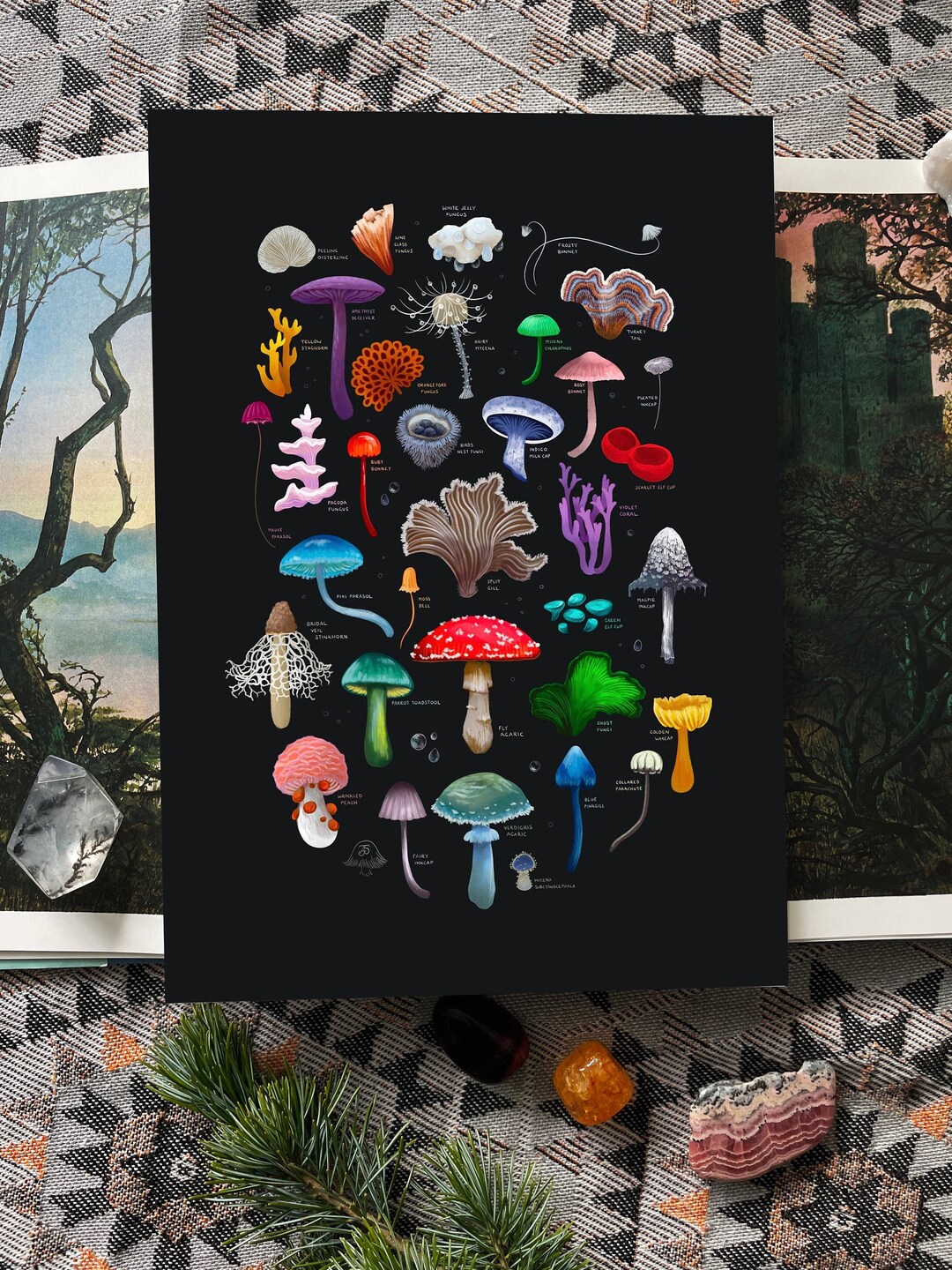 Weird Fungi Art Print - Mushrooms - Fungi - Cottagecore - Nature ...