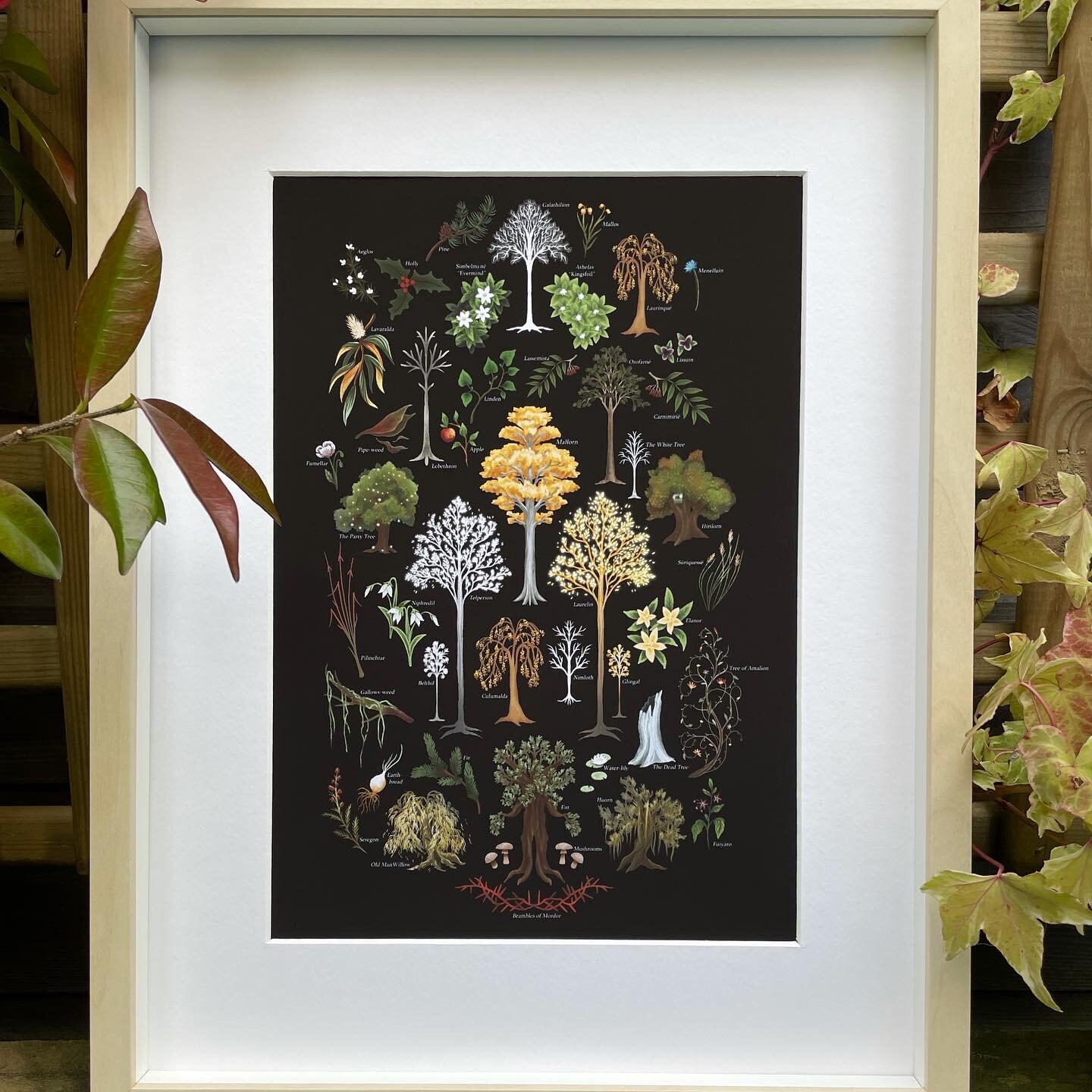 A Tolkien Inspired Herbal - Botanical Print Inspired by the Plants of ...