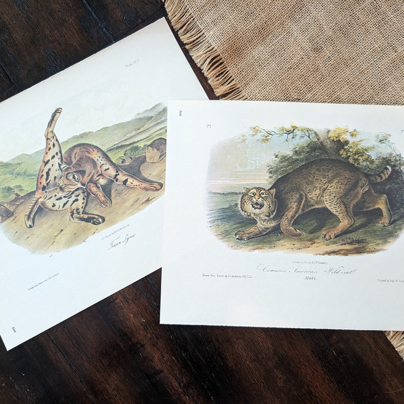 Childrens Bookplates - Etsy