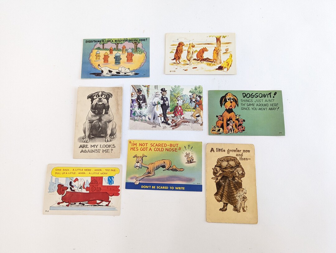 Vintage Humorous Animal Postcards: 1907-1908 Novelty Art, Lot of 8 - Etsy