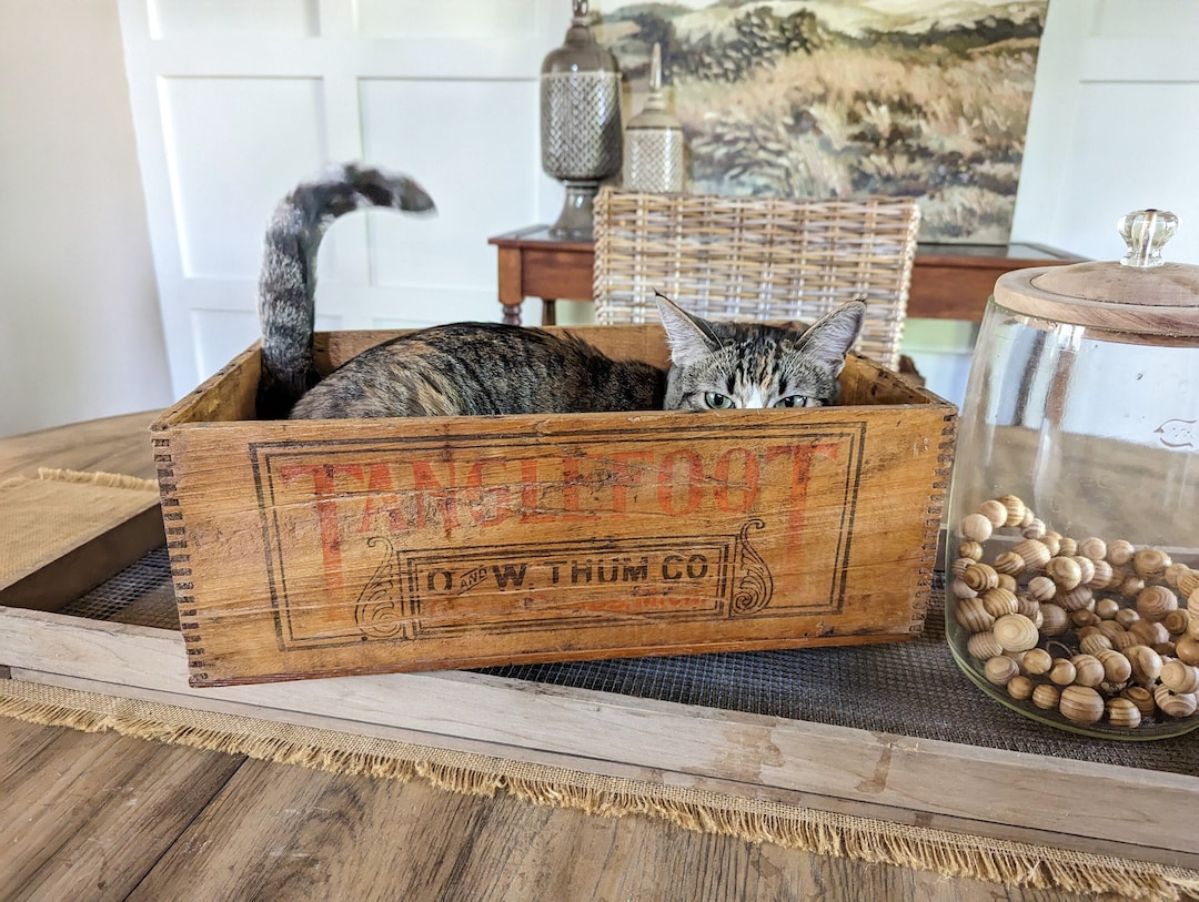 Vintage Dovetailed Box Tanglefoot Flypaper Wood General Store Box Grand ...