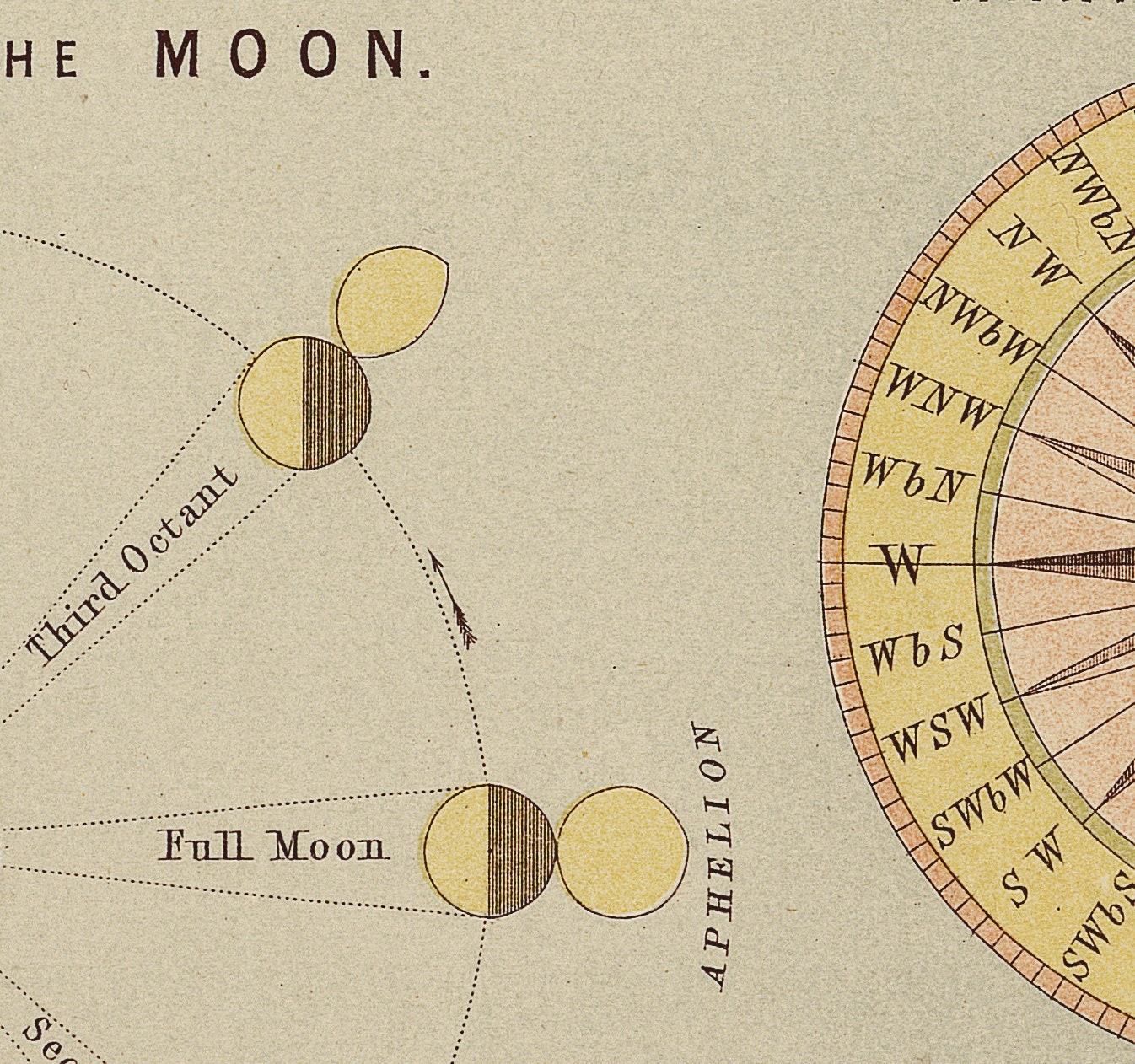 1898 Victorian Astronomy/Solar system infographic | Etsy