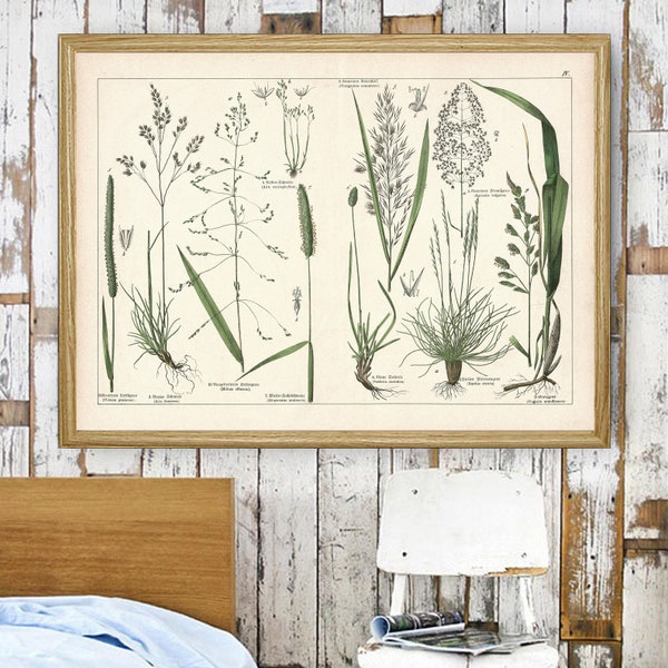 Large Botanical Prints - Etsy