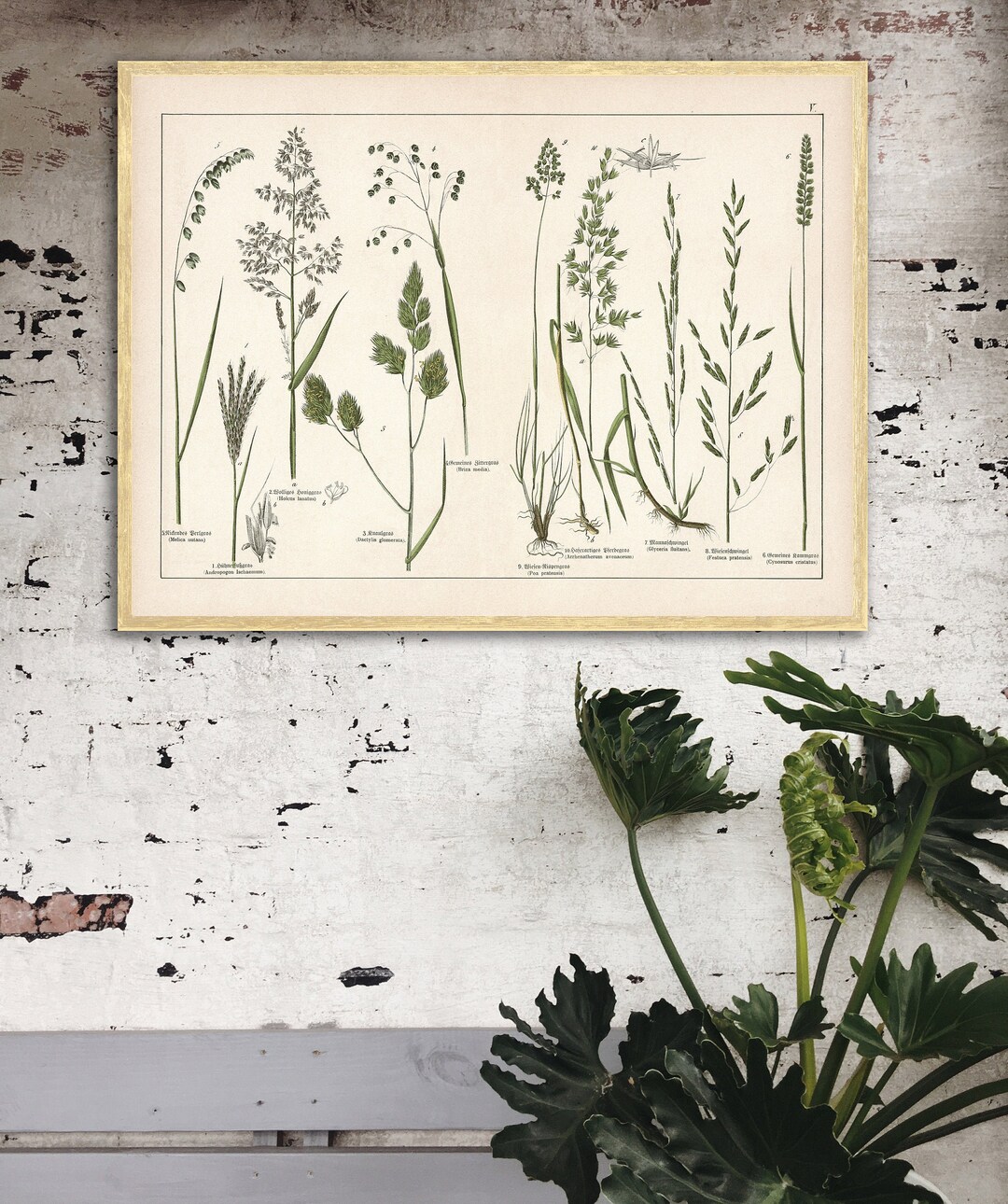 Extra Large 1887 Botanical Plate #5 Reprint - Vintage Botanical Wild ...
