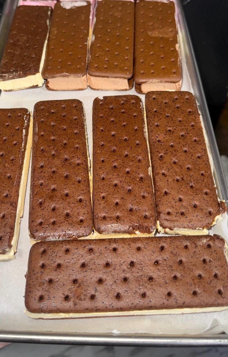 Freeze Dried Ice Cream Sandwich - Etsy