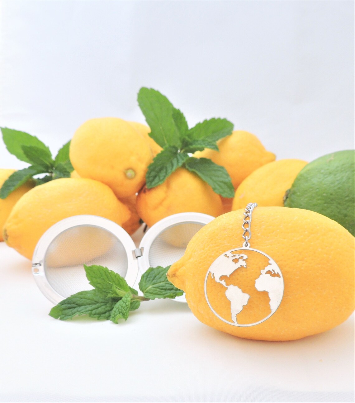 Globe Tea Infuser World Tea Strainer Earth Mesh Ball Loose | Etsy