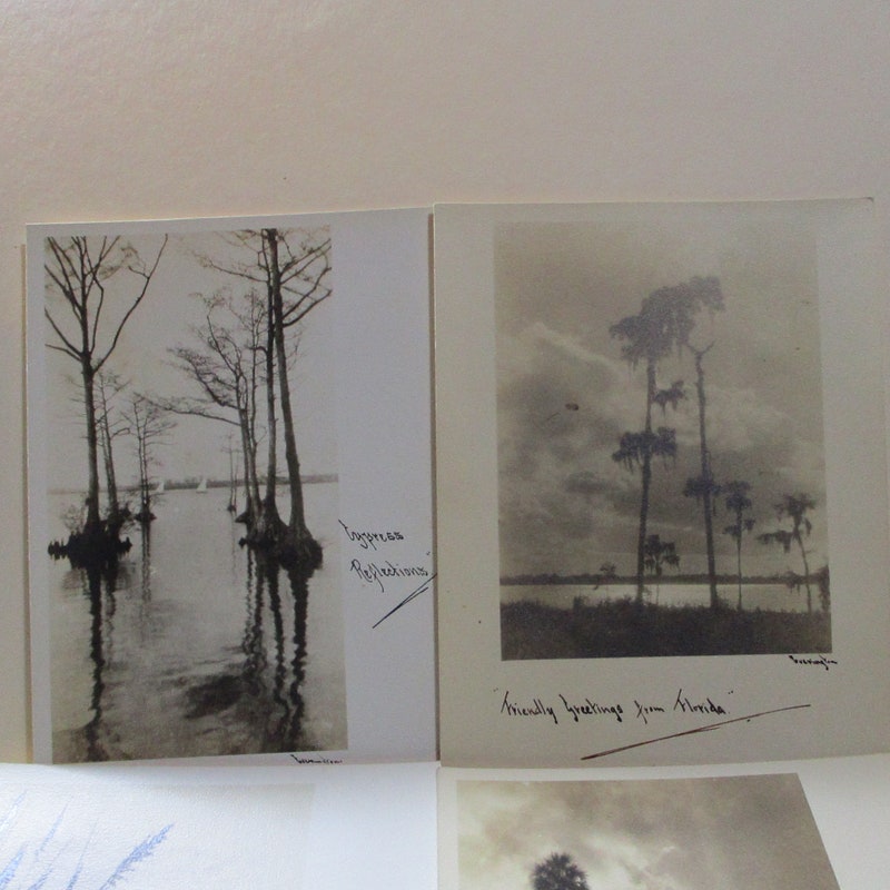Sepia Color - Etsy