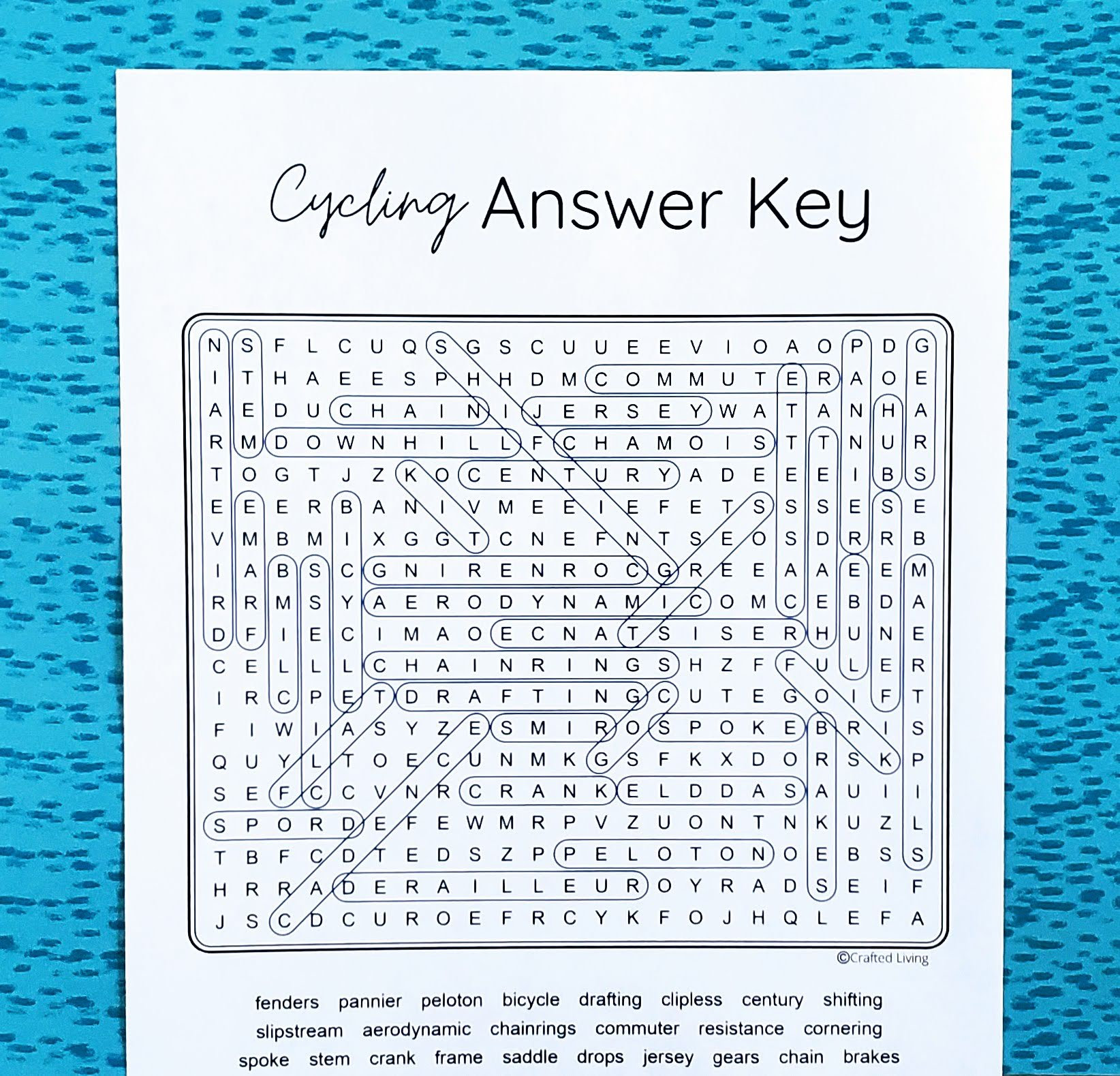 Cycling Word Search Puzzle | Printable Brain Teaser (digital Download ...
