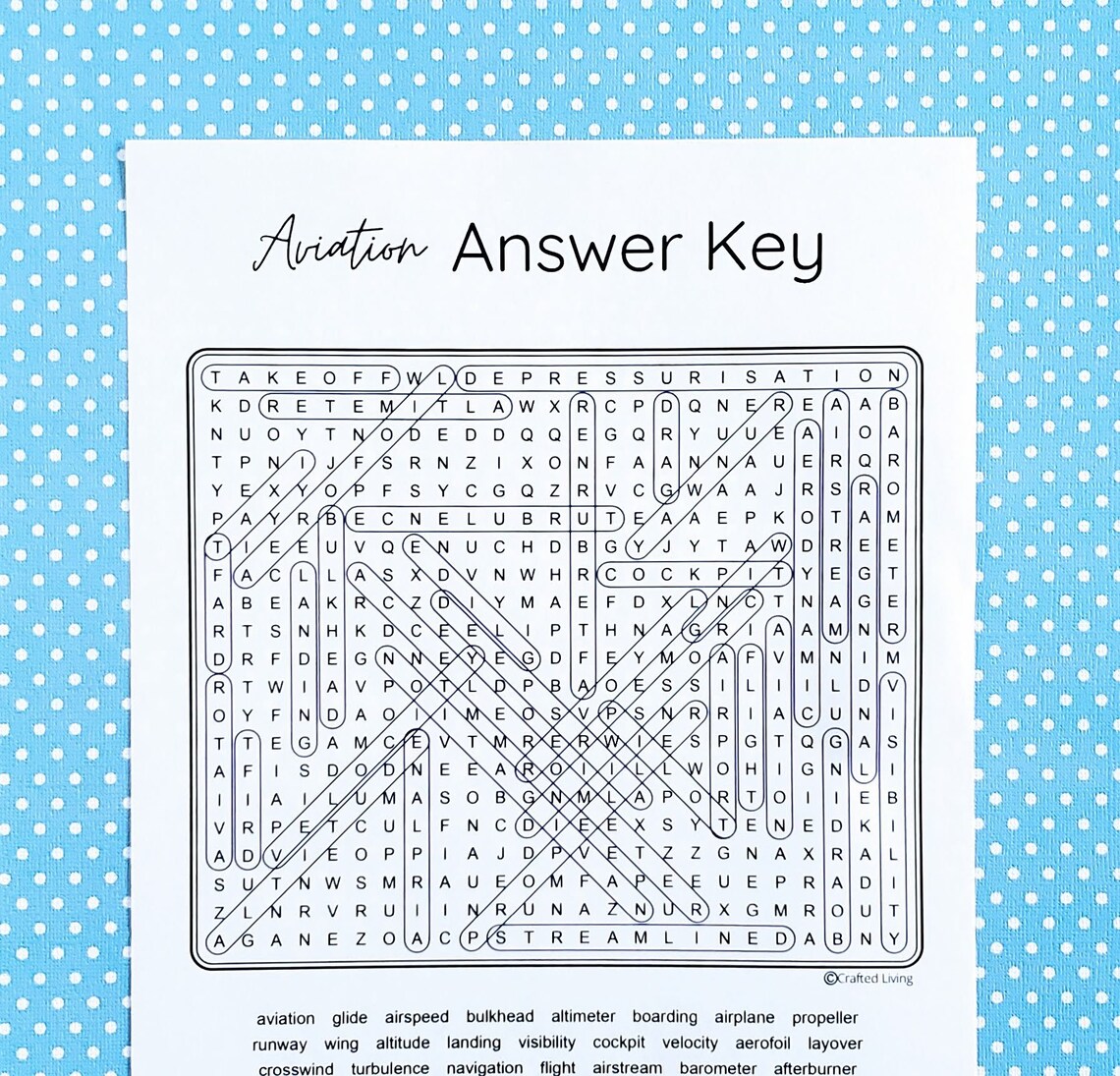 Aviation Printable Word Search | Airplane Word Puzzle Party Game ...