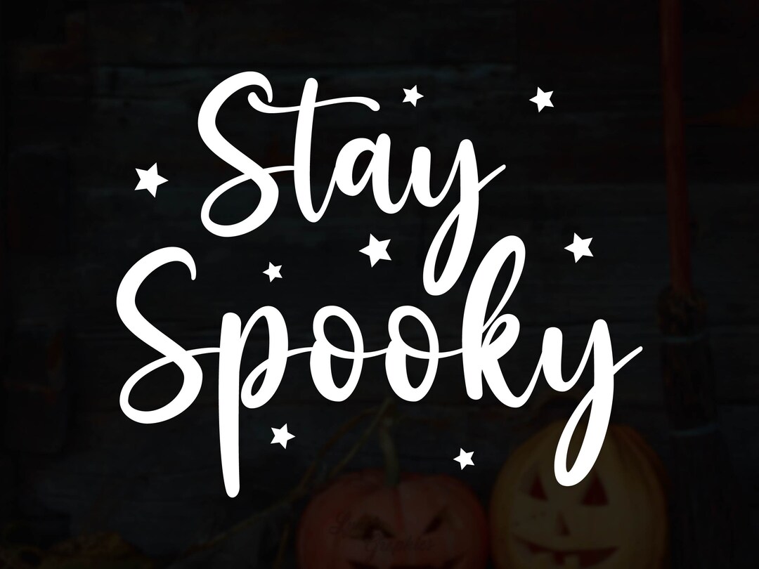 Stay Spooky Decal Funny Halloween Decal Witch Vibes Only - Etsy