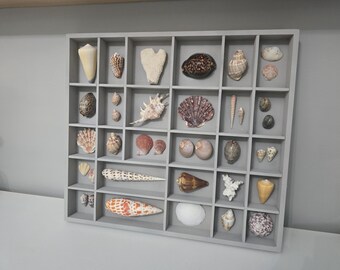 Seashell Shadow Box, Seashell Display, Wood Shelf Seashell Display ...
