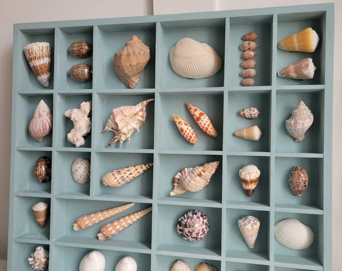 Sea Shell Shadow Box With Shells Included, Shells Glued In, Lovely ...