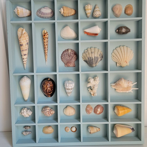 Shop Printers Tray - Etsy