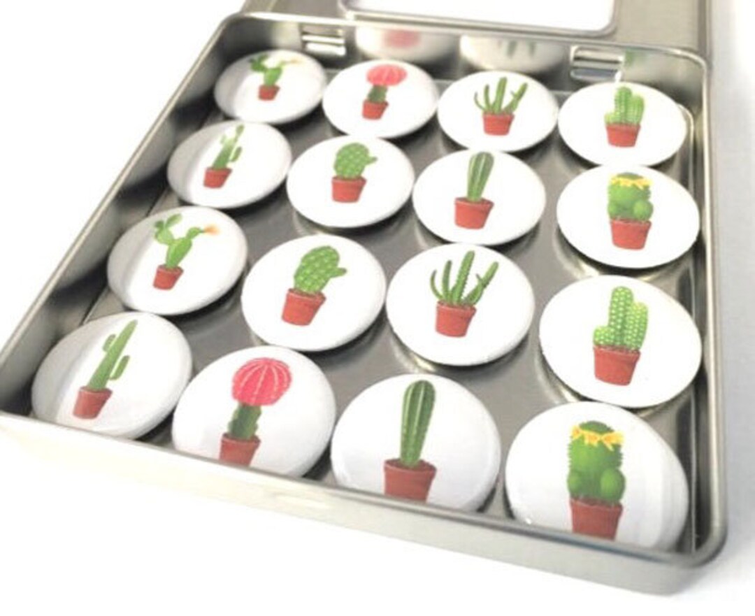 Cactus Magnet Set - Etsy