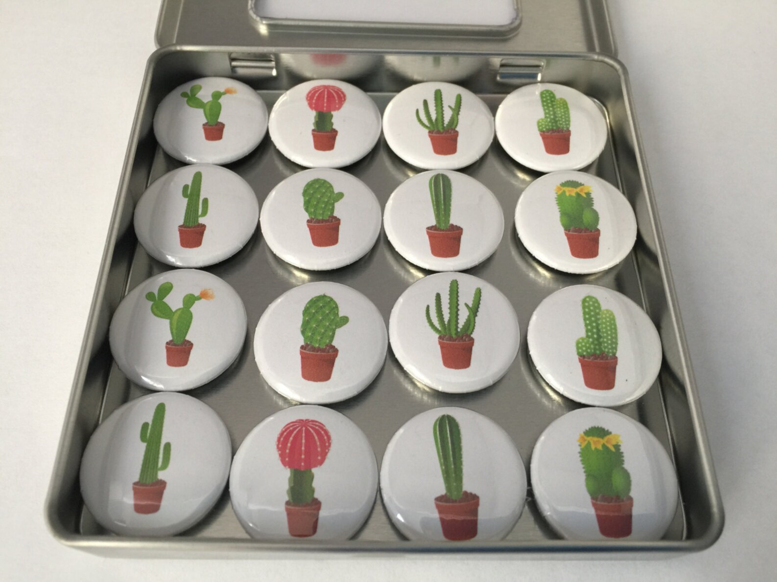 Cactus Magnet Set - Etsy