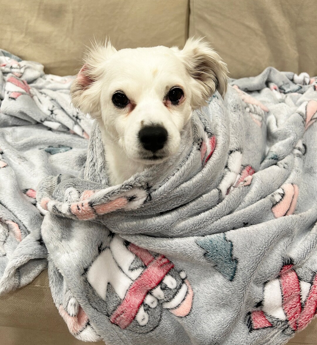 Custom Designed and Made-giant Throw Lightweight Plush - Etsy