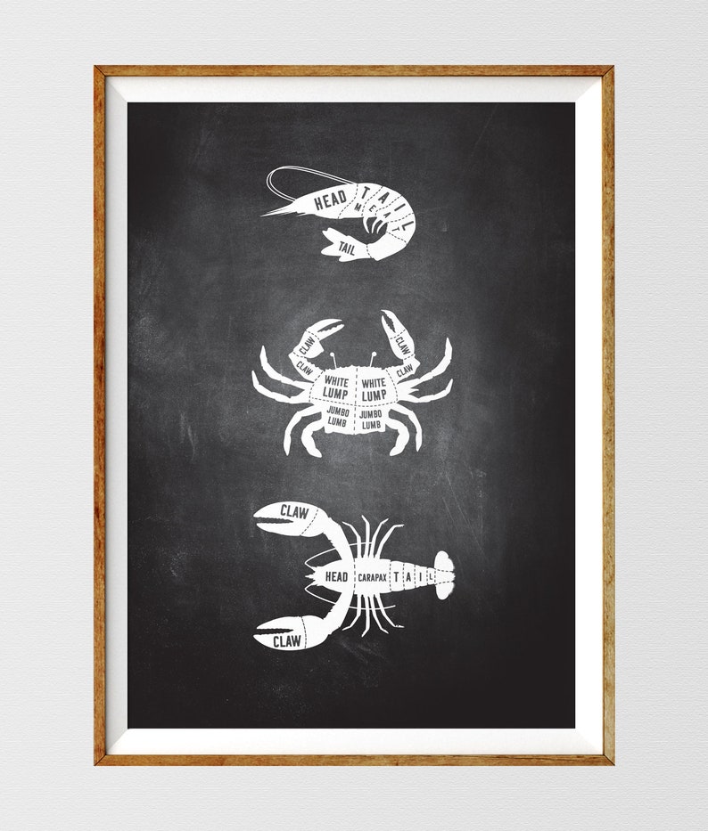 Butcher Cuts Butcher Chart Butcher Diagram Butcher Guide Butcher's ...