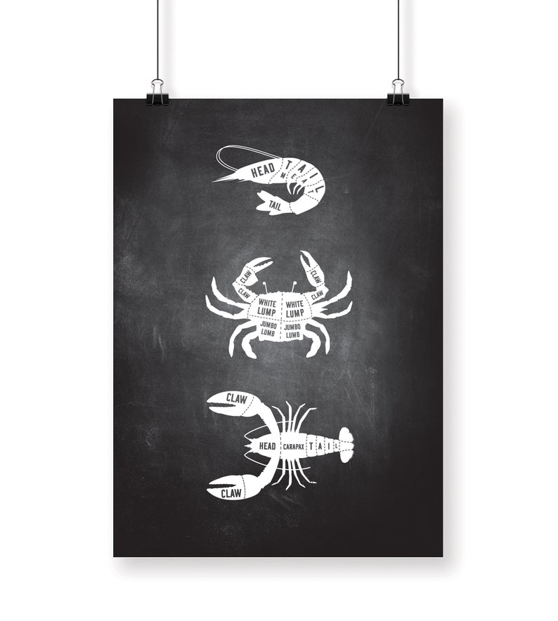 Butcher Cuts Butcher Chart Butcher Diagram Butcher Guide Butcher's ...