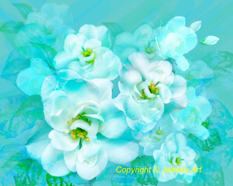 White Wild Rose Digital Art Print, Instant Digital Download, Turquoise ...