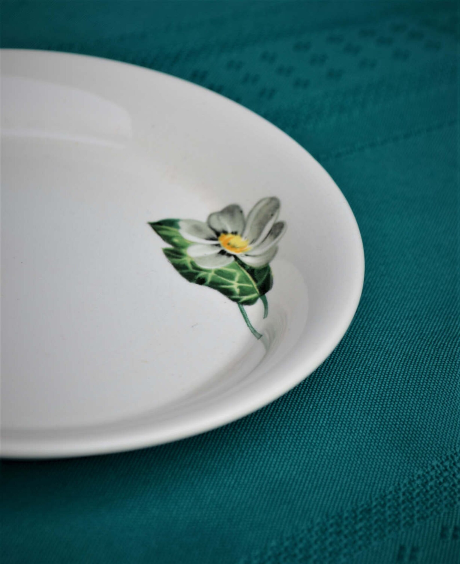 Palissy China 'apple Blossom' Pattern Plate - Etsy