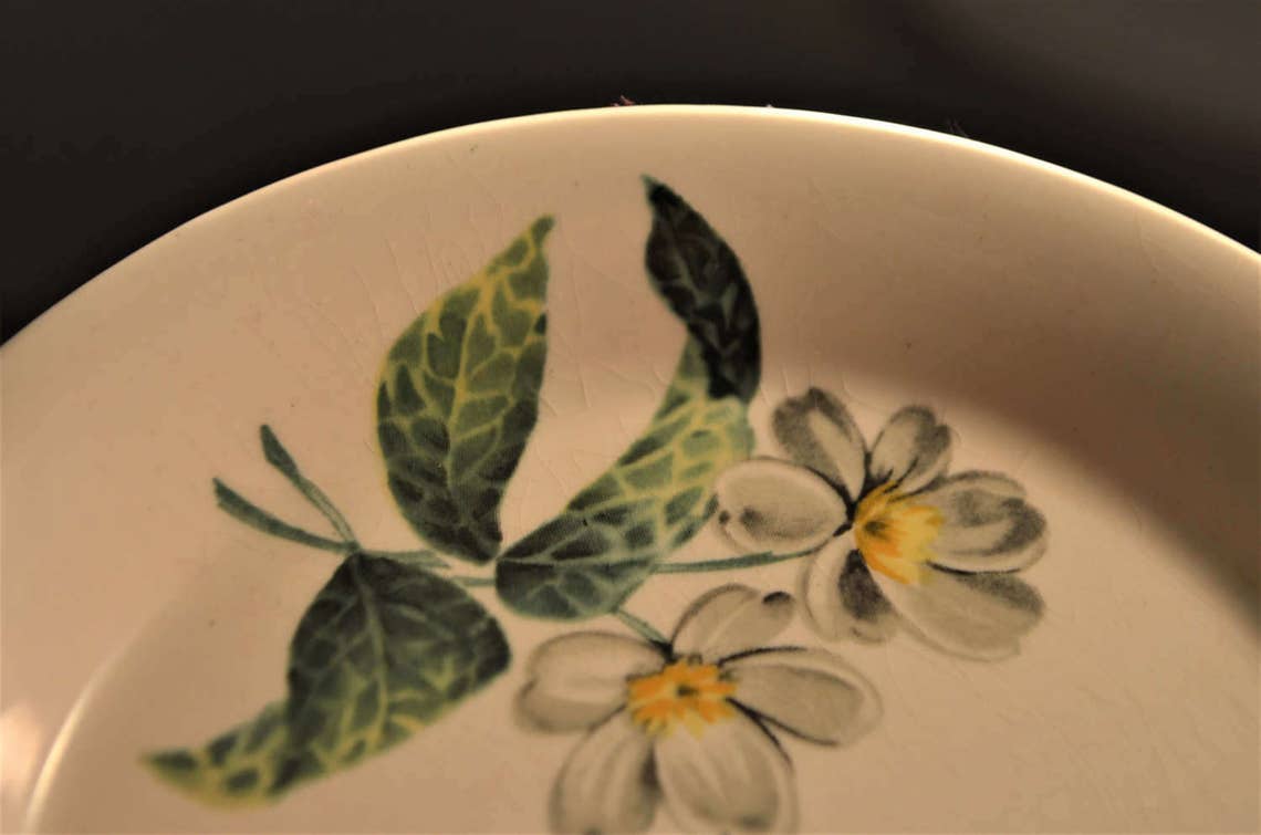 Palissy China 'apple Blossom' Pattern Plate - Etsy