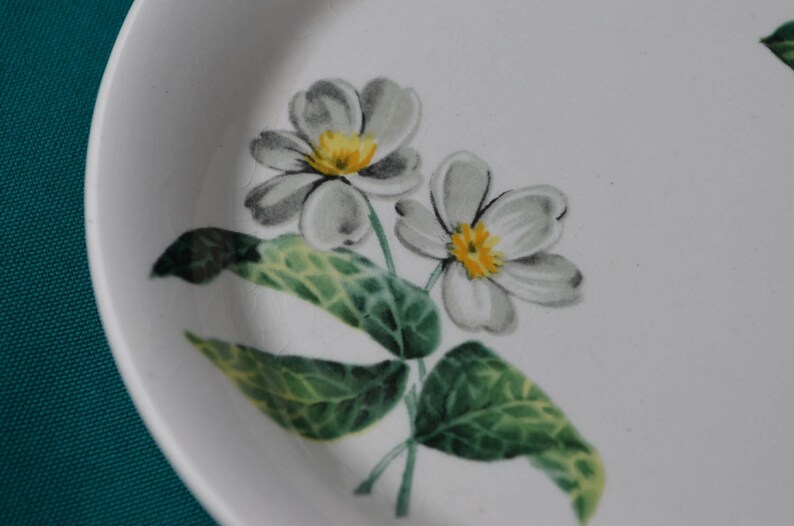 Palissy China 'apple Blossom' Pattern Plate - Etsy
