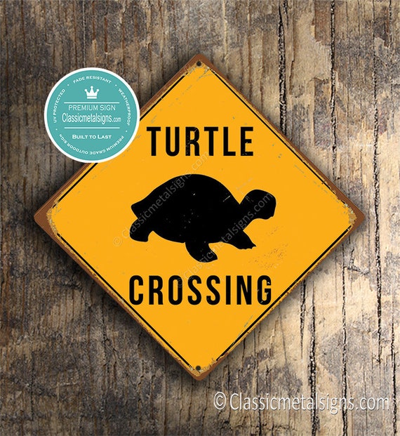 Slow Turtle Signs