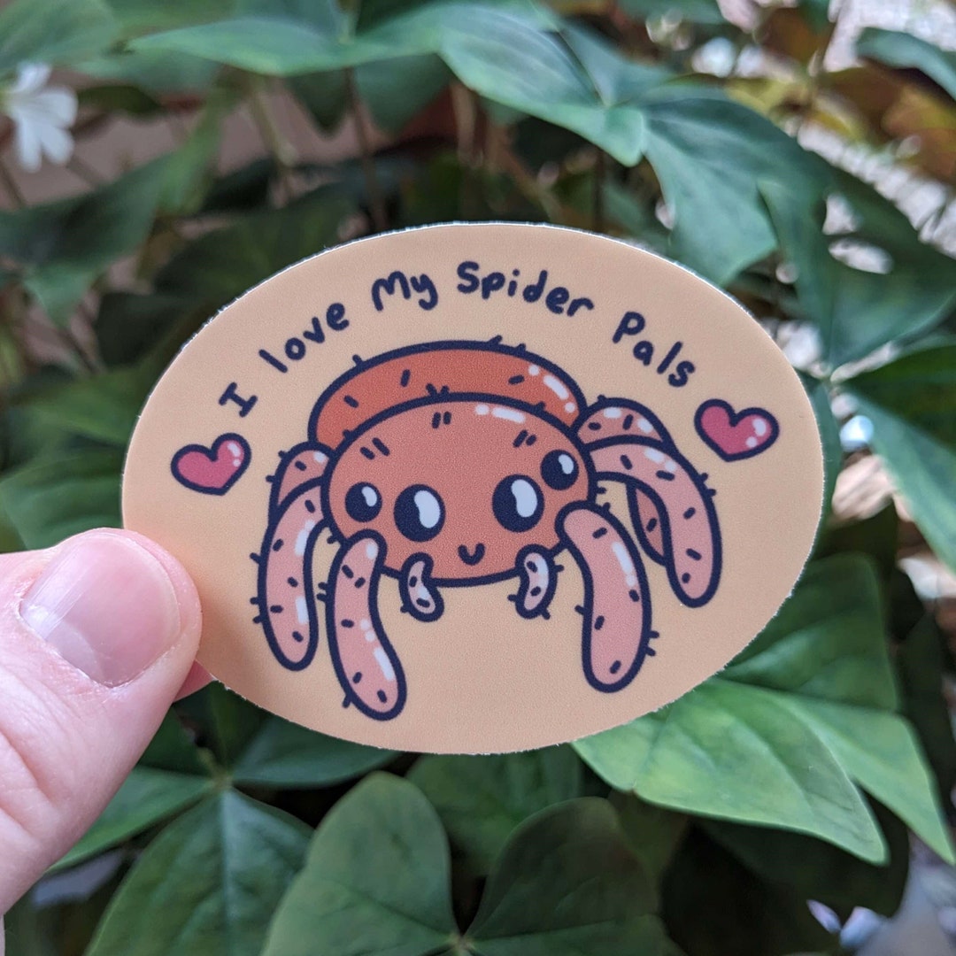I Love My Spider Pals - Vinyl Sticker - Spider Lovers - Spider ...