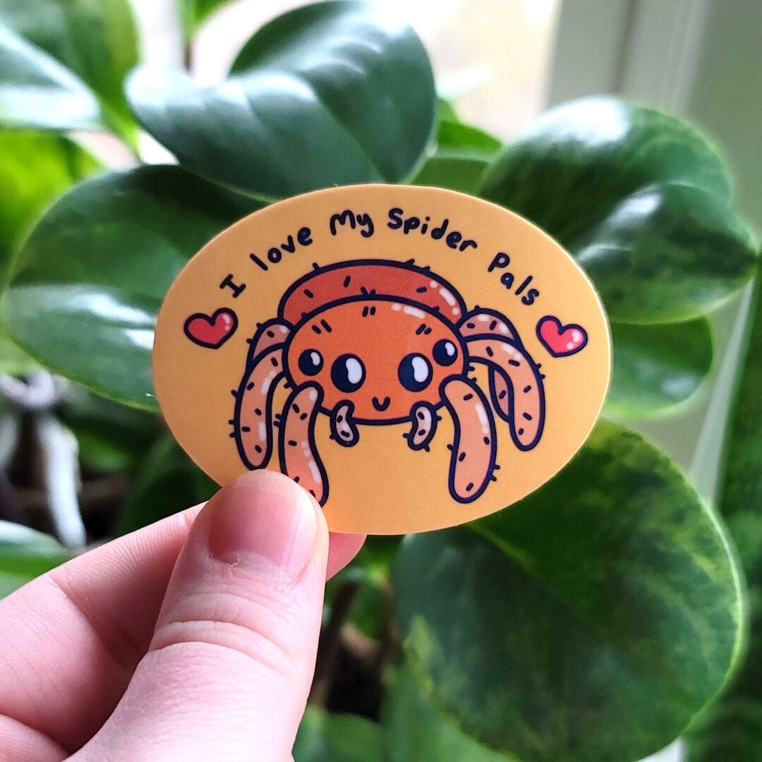 I Love My Spider Pals Vinyl Sticker Spider Lovers Spider - Etsy