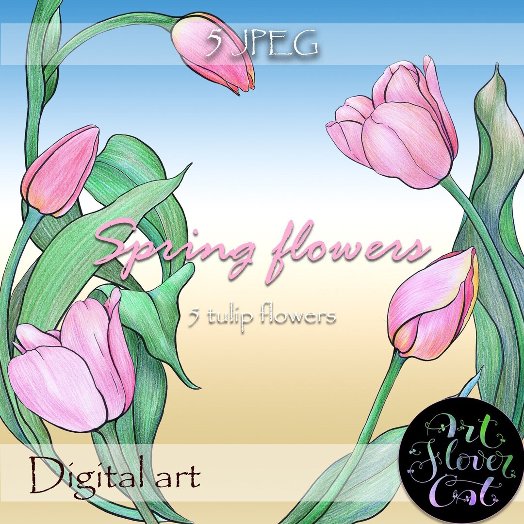 Digital Clipart Tulip Flowers PNG 300 Dpi Floral Art Digital Print - Etsy