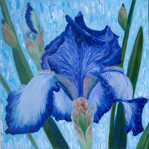 Iris Oil Paintings