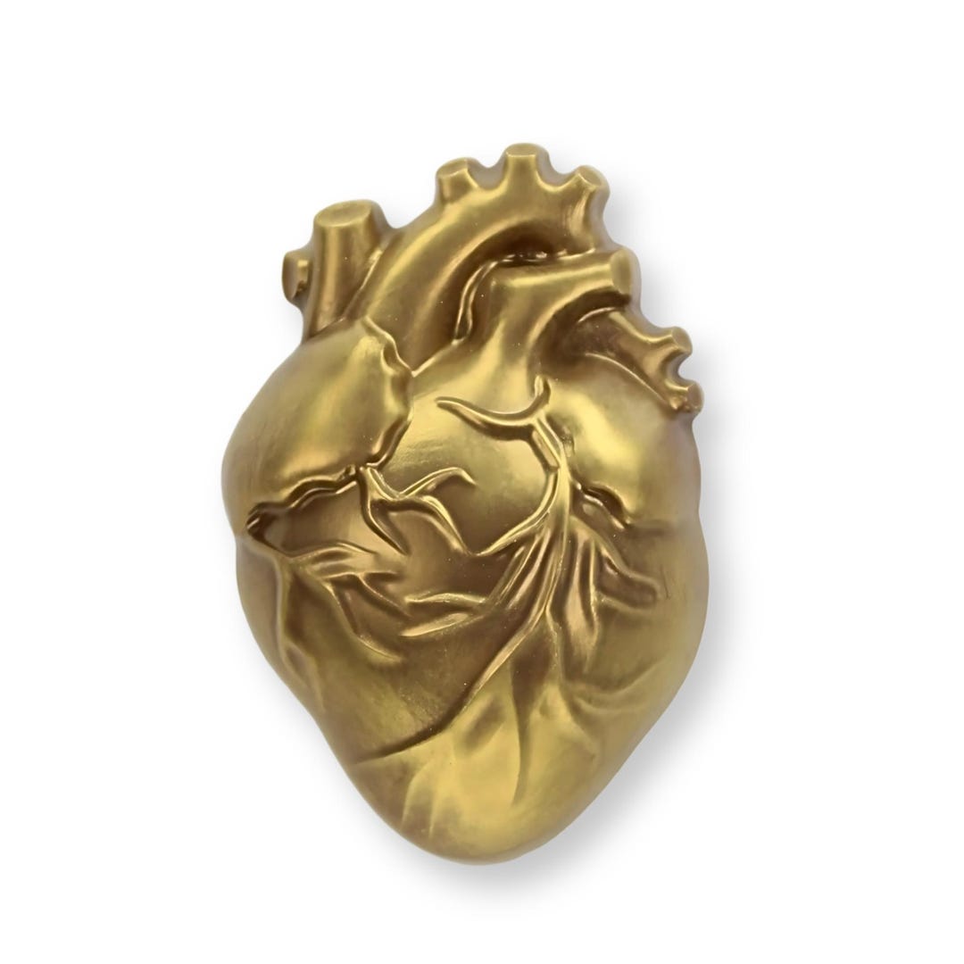 Chocolate Anatomical Human Heart Shape Bar, Novelty Gift - Etsy