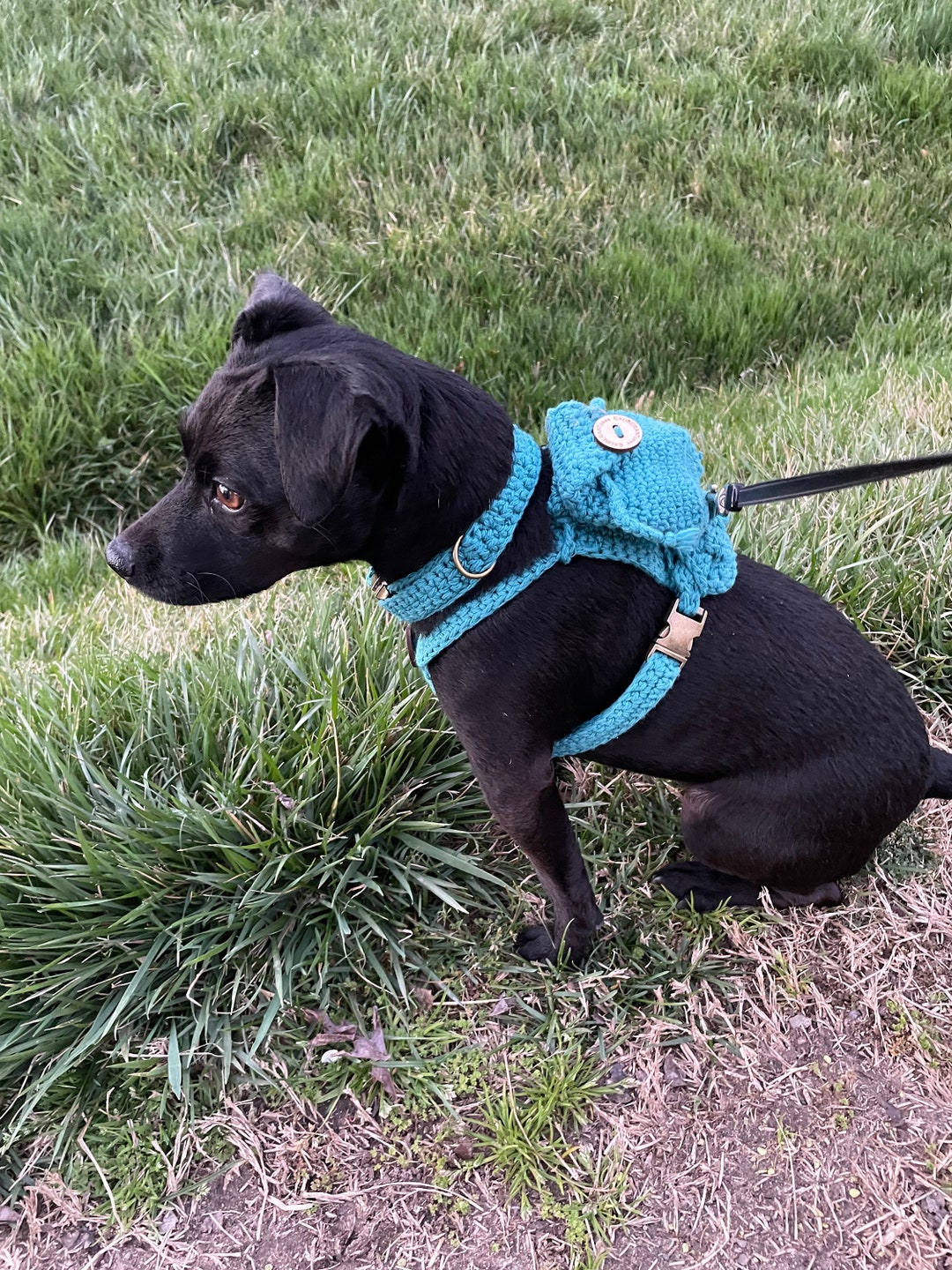 Teal Cross-body Dog Harness With Backpack- Soft, Strong, Comfortable ...