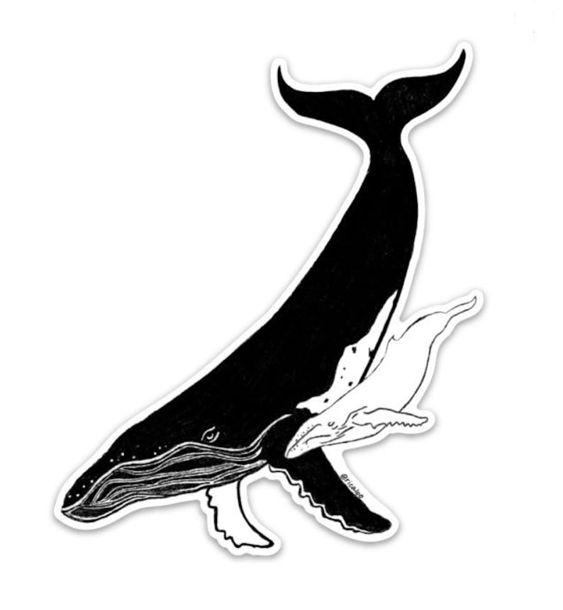 Humpback Whale Vinyl Sticker, Ocean Art, Mama and Baby Mammal Sticker ...