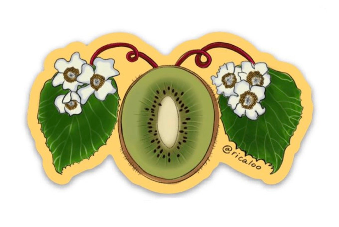 Kiwi Fruiterus Sticker Fruit Uterus Yoni Vinyl Sticker Body - Etsy