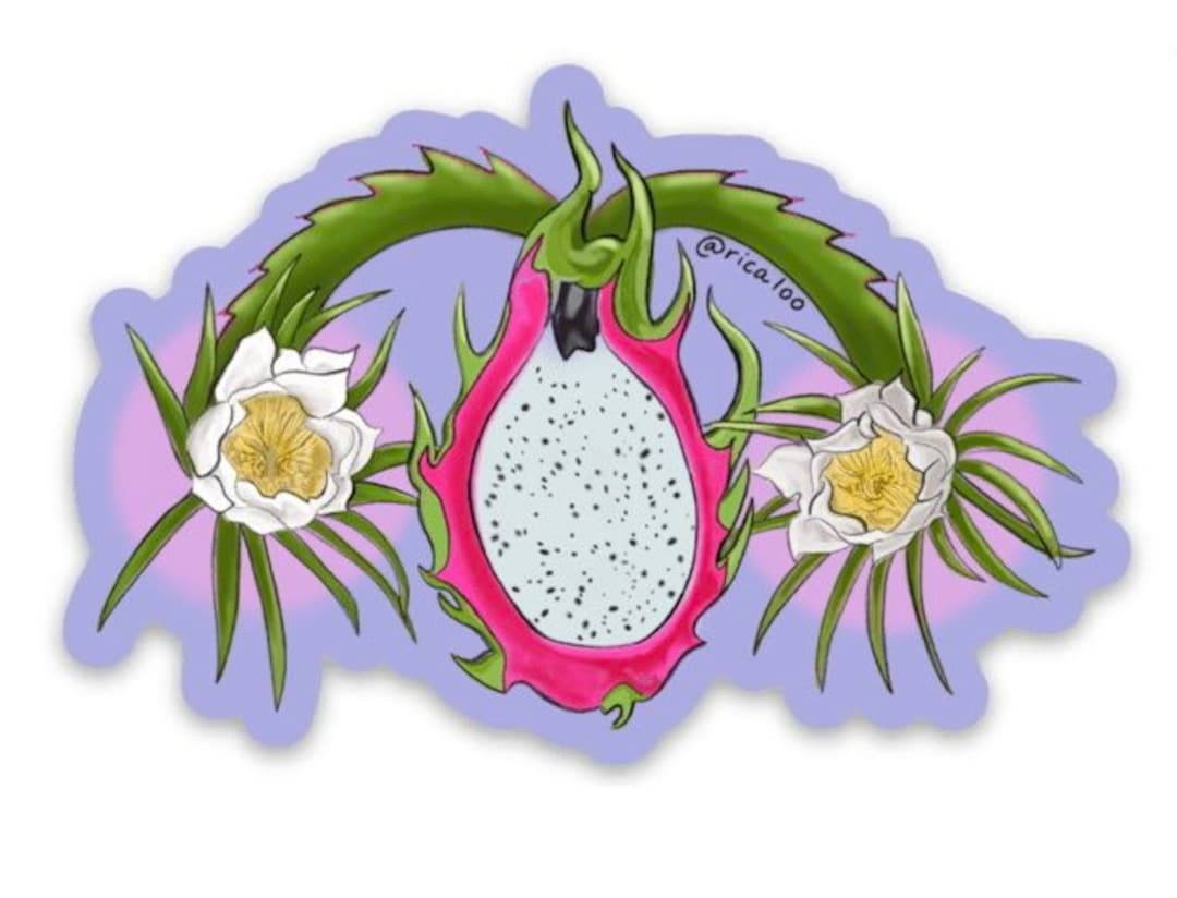 Dragonfruit Fruit - Uterus Stickerfruit Uterus Yoni Vinyl Sticker ...