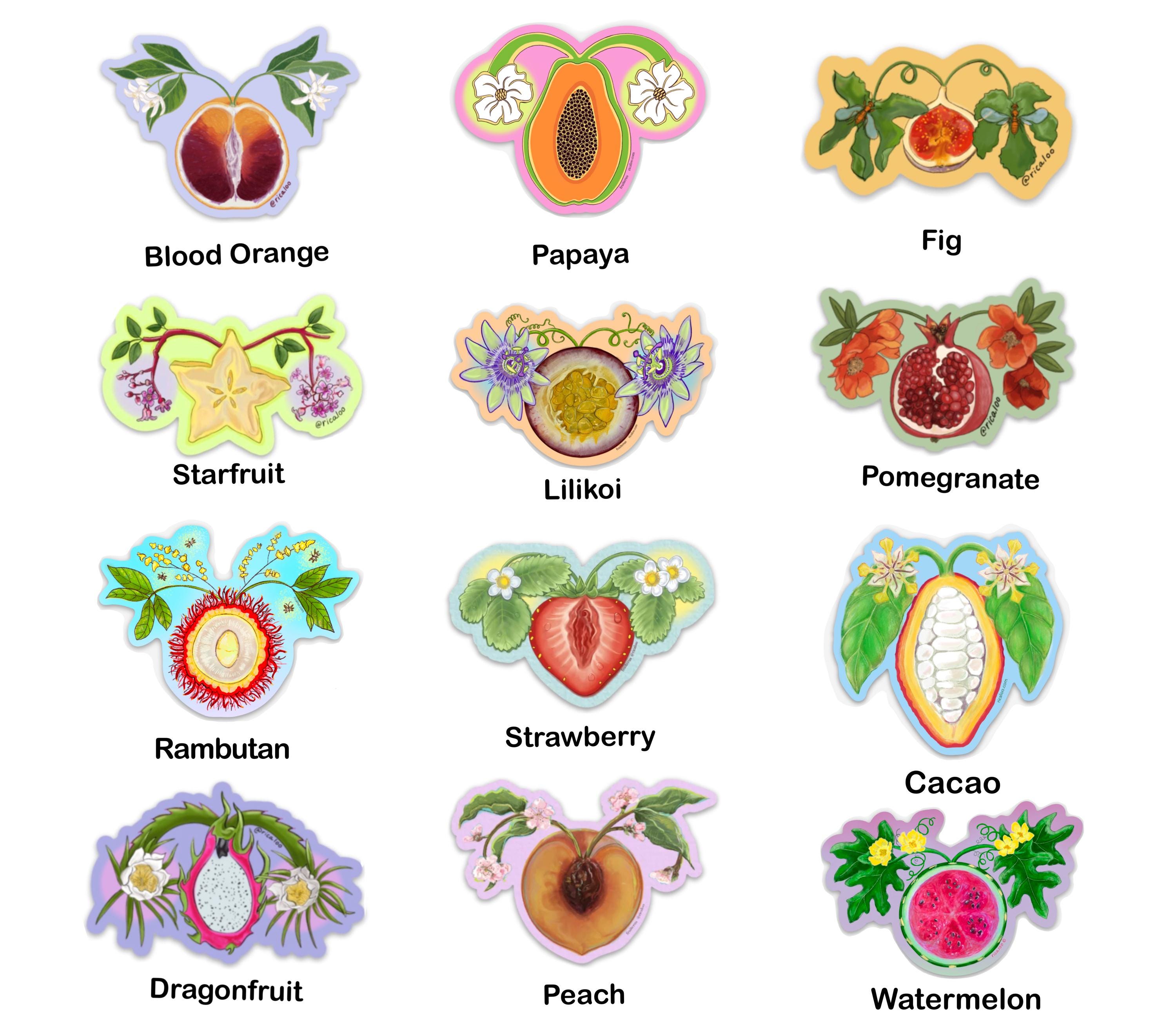 Rambutan Fruit Uterus Feminist Sticker Yoni Vinyl Sticker Body Positive ...